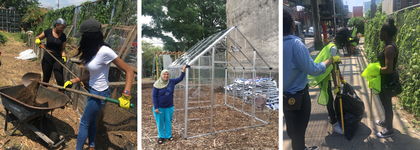 Brooklyn Community Development Organization Promotes Healthy, Green ...